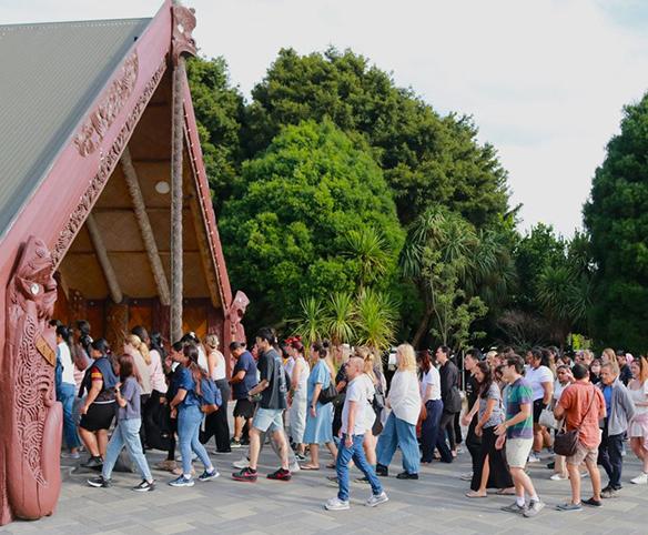 Unitec - Study a Certificate, Diploma, Degree, Postgraduate in Auckland