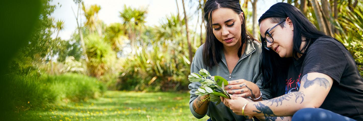 Postgraduate Certificate in Applied Science (Biodiversity Management ...