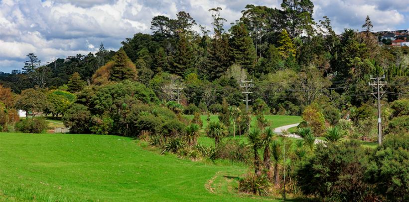 Daylighting streams to ease flood damage – Unitec